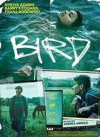 Kinoprogramm von REX und Neue Filmbühne Beuel: Neue Filmbühne ...